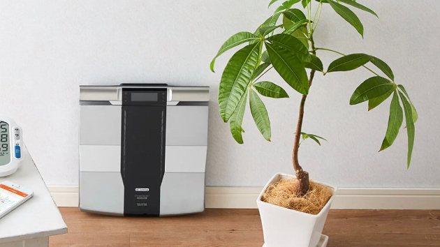 ヒーラーの心と体を整える生活：体組成計の結果とその秘訣｜稲月シロ ヒーリングサロンHOOLOLI｜coconalaブログ